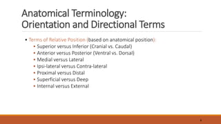 Anatomy and Physiology.pptx | Biological Sciences | Science