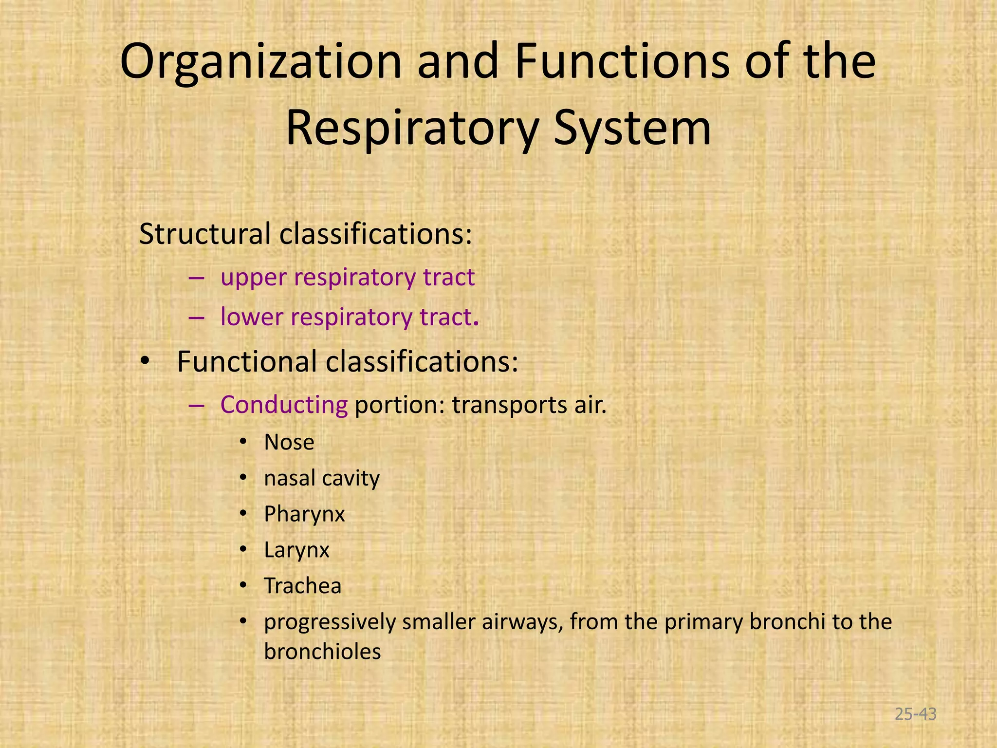 Anatomy and Physiology.pptx