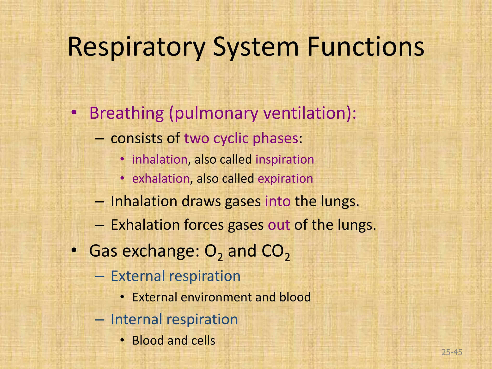 Anatomy and Physiology.pptx