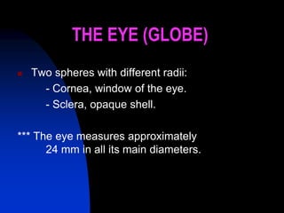 Anatomy and Physiology.ppt of eye uploaded | PPT