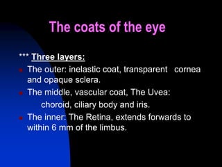 Anatomy and Physiology.ppt of eye uploaded | PPT