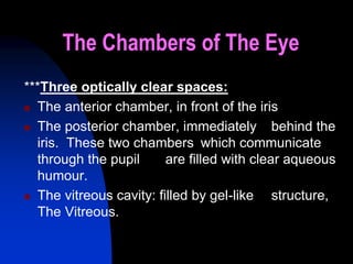 Anatomy and Physiology.ppt of eye uploaded | PPT