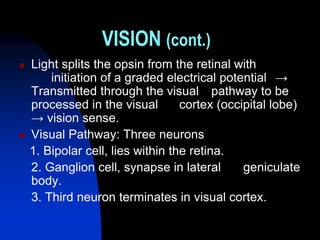 Anatomy and Physiology.ppt of eye uploaded | PPT