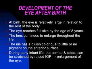 Anatomy and Physiology.ppt of eye uploaded | PPT