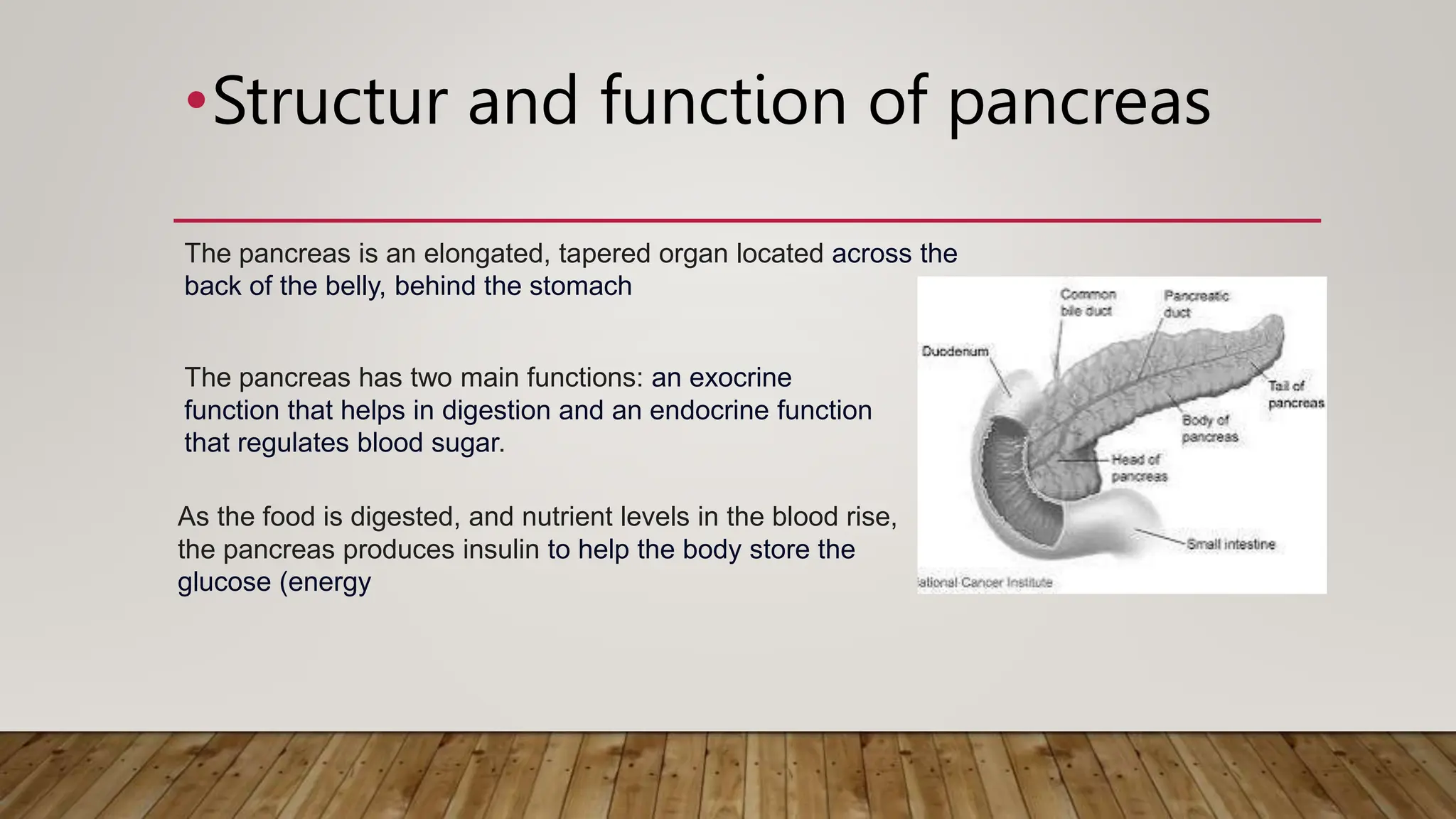 anatomy and physiology pancreas pptx.pptx