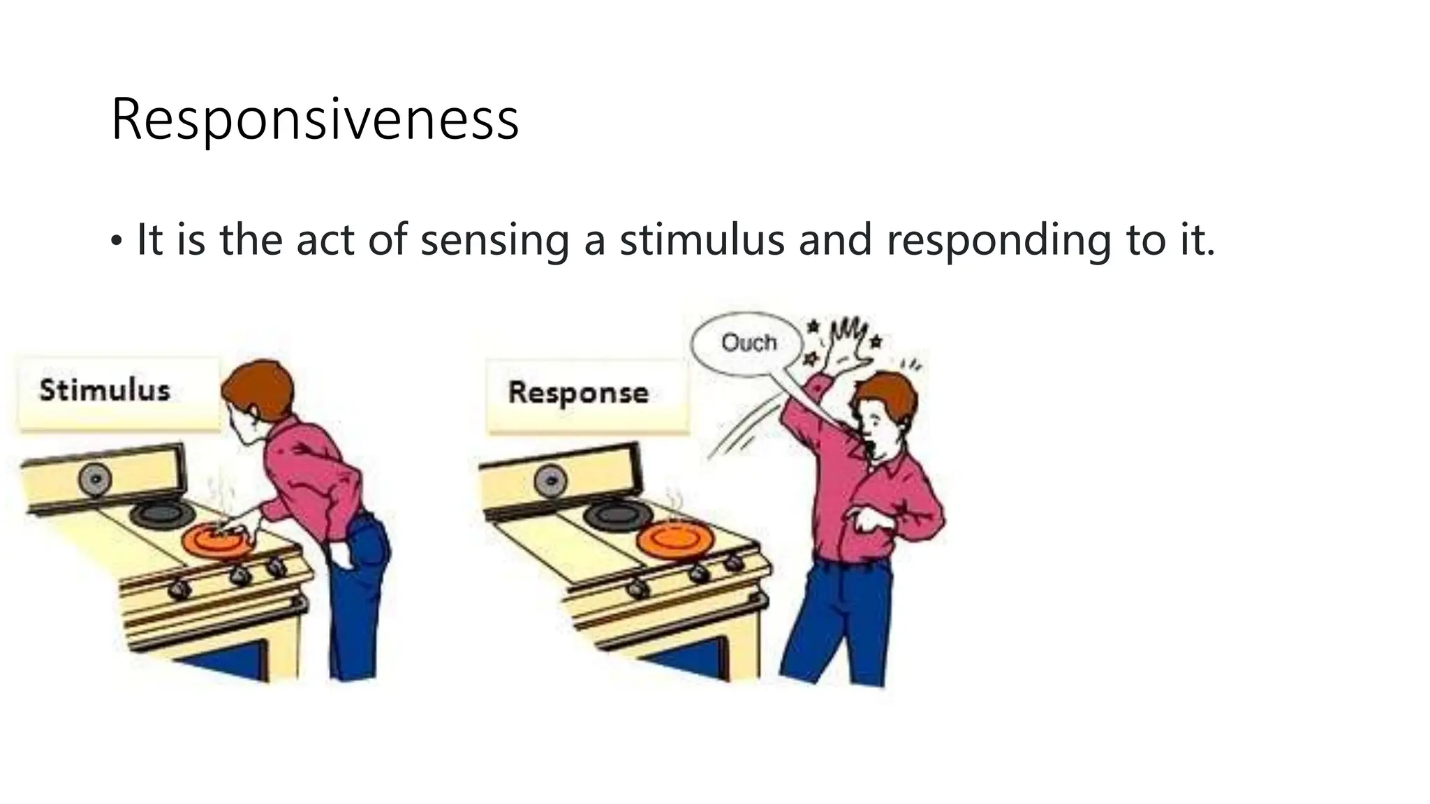 anatomy and physiology.pptx for nurses to learn | PPTX