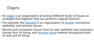 anatomy and physiology.pptx for nurses to learn | PPTX