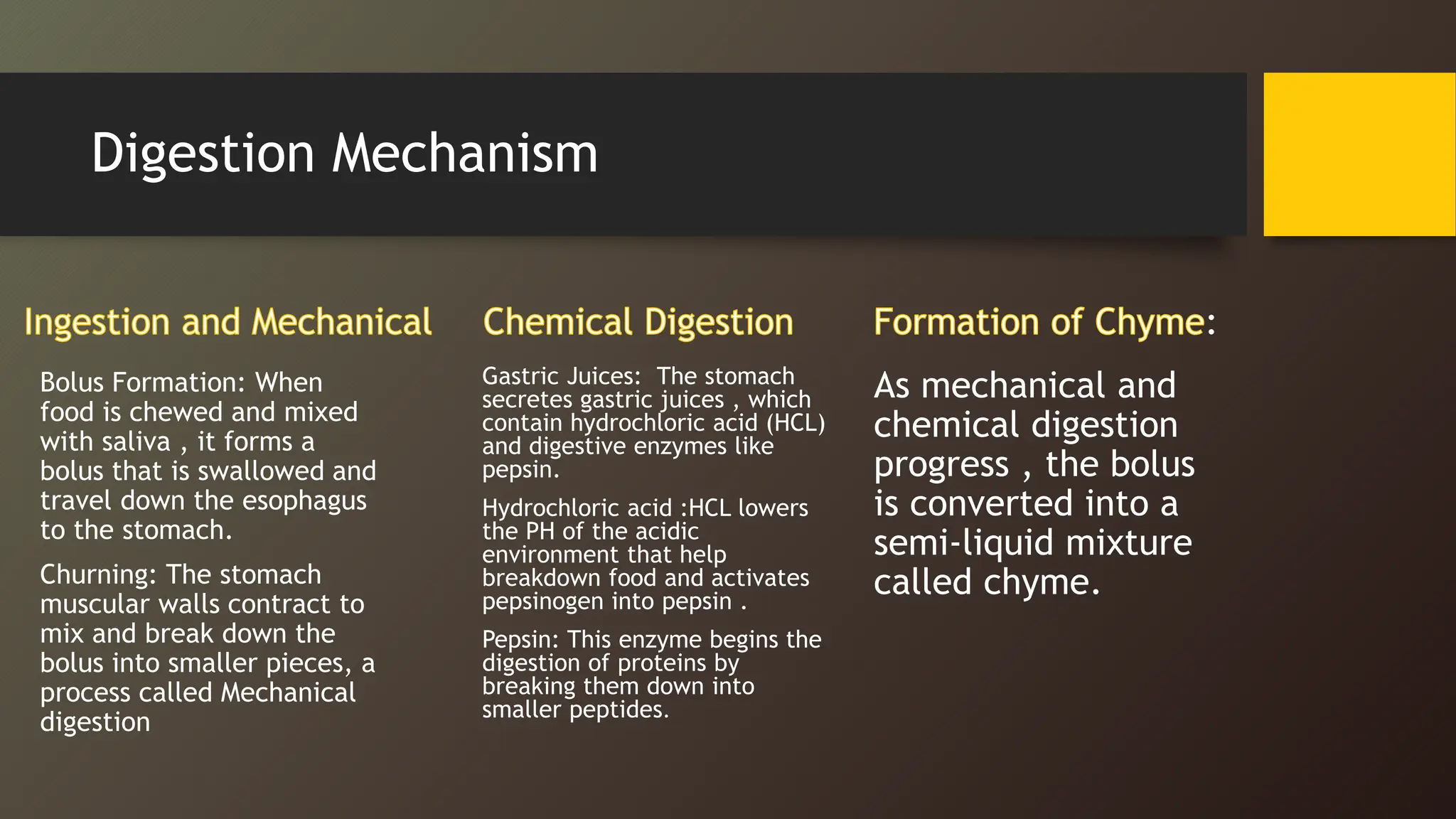 Basic Power Points on Anatomy and Physiology.pptx
