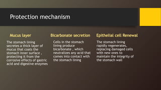 Basic Power Points on Anatomy and Physiology.pptx