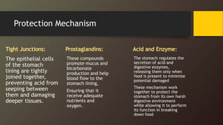 Basic Power Points on Anatomy and Physiology.pptx