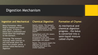 Basic Power Points on Anatomy and Physiology.pptx
