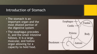 Basic Power Points on Anatomy and Physiology.pptx
