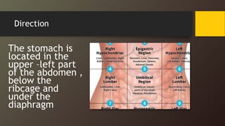 Basic Power Points on Anatomy and Physiology.pptx