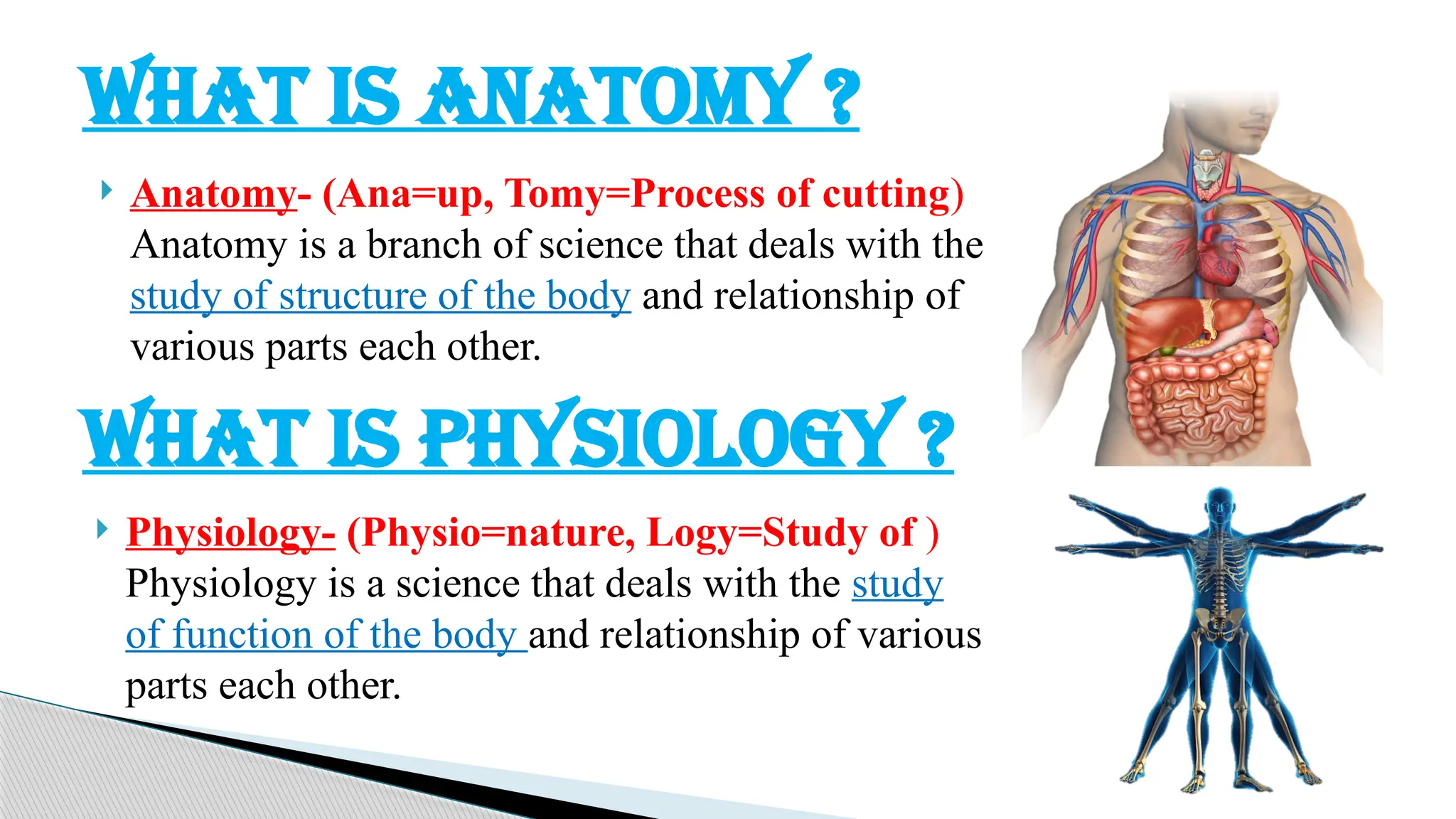 Scope and type of Anatomy and Physiology.pptx