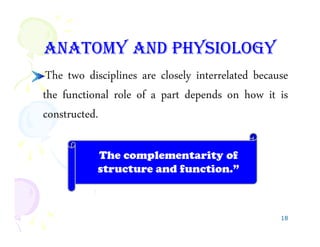anatomy and physiology-lecture1.pdf