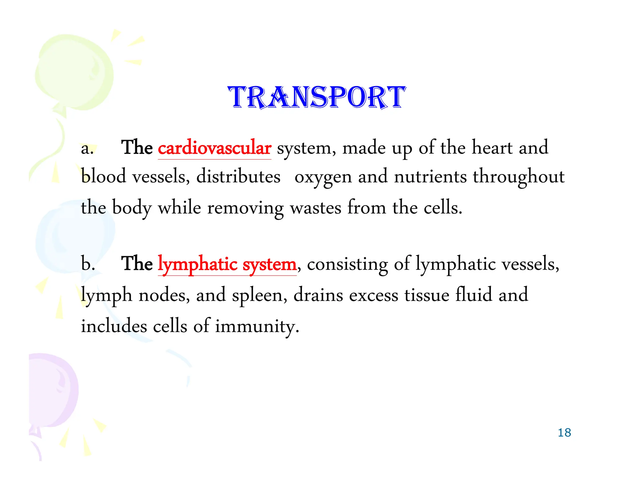 anatomy and physiology-lecture2.pdf
