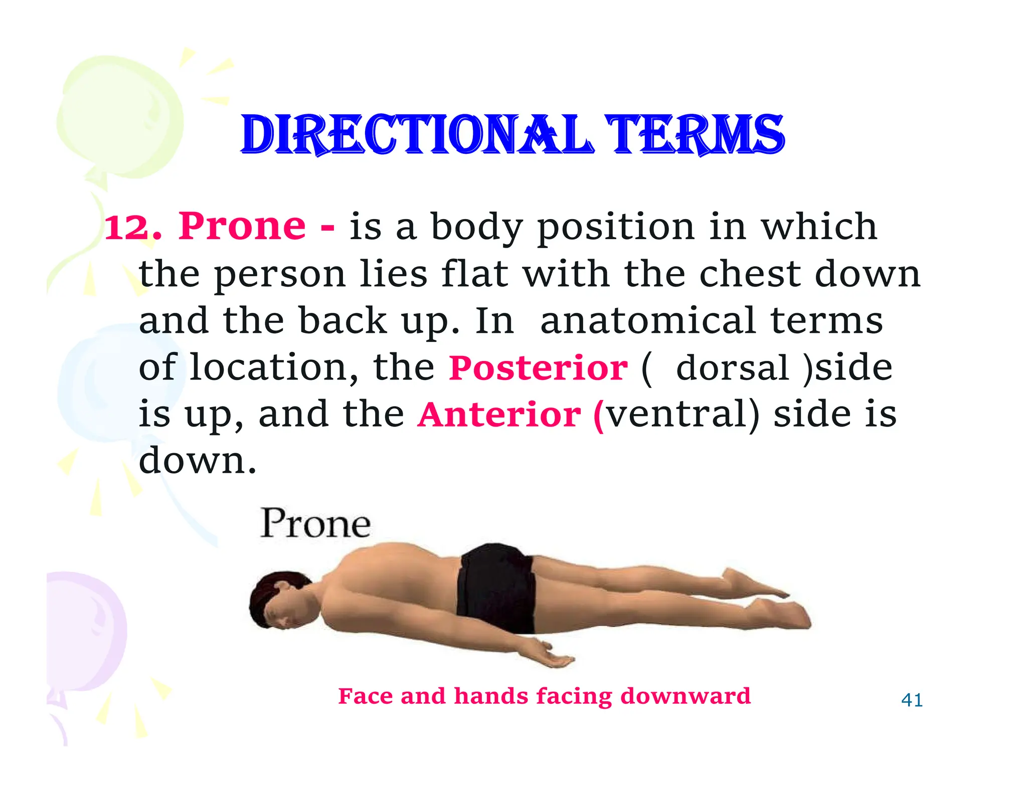anatomy and physiology-lecture2.pdf