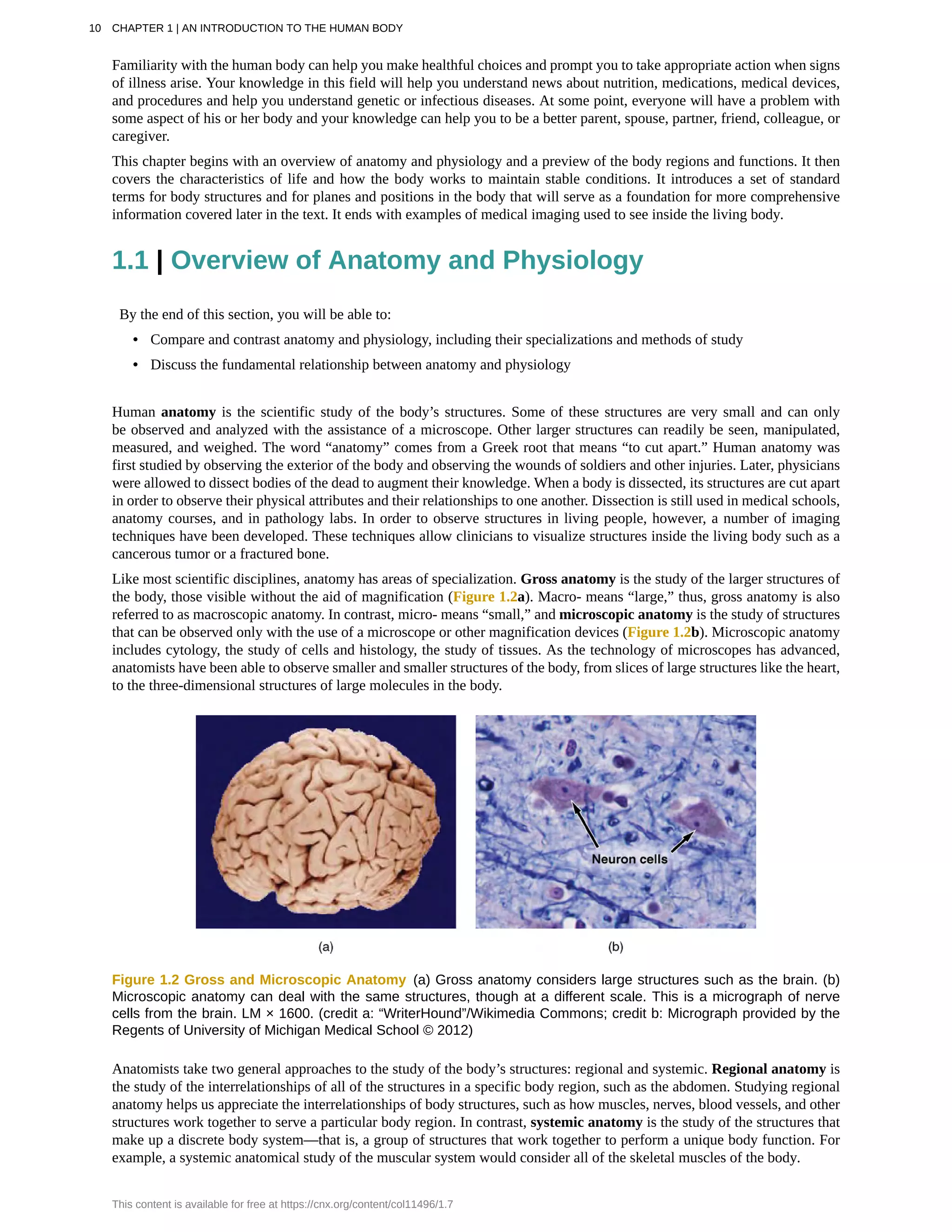 Anatomy and Physiology - Openstax College.pdf