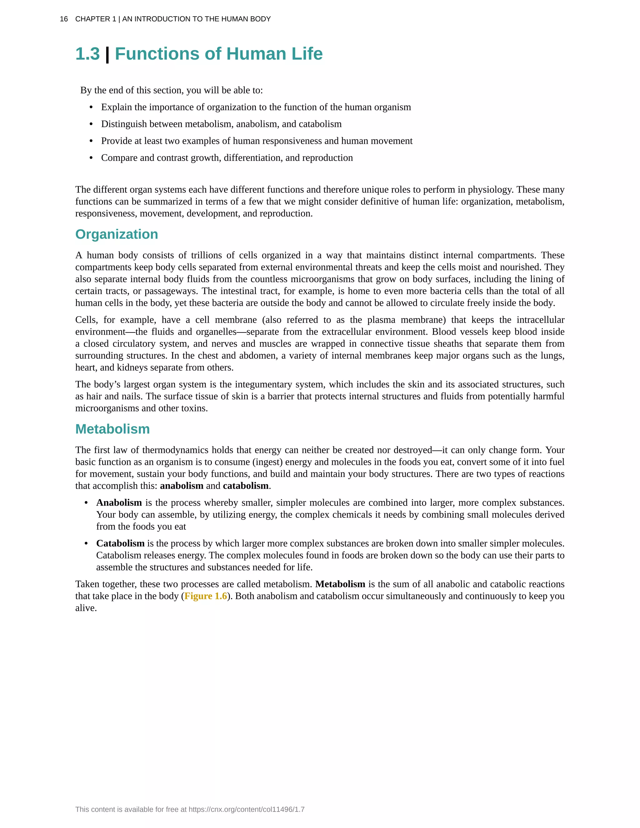 Anatomy and Physiology - Openstax College.pdf