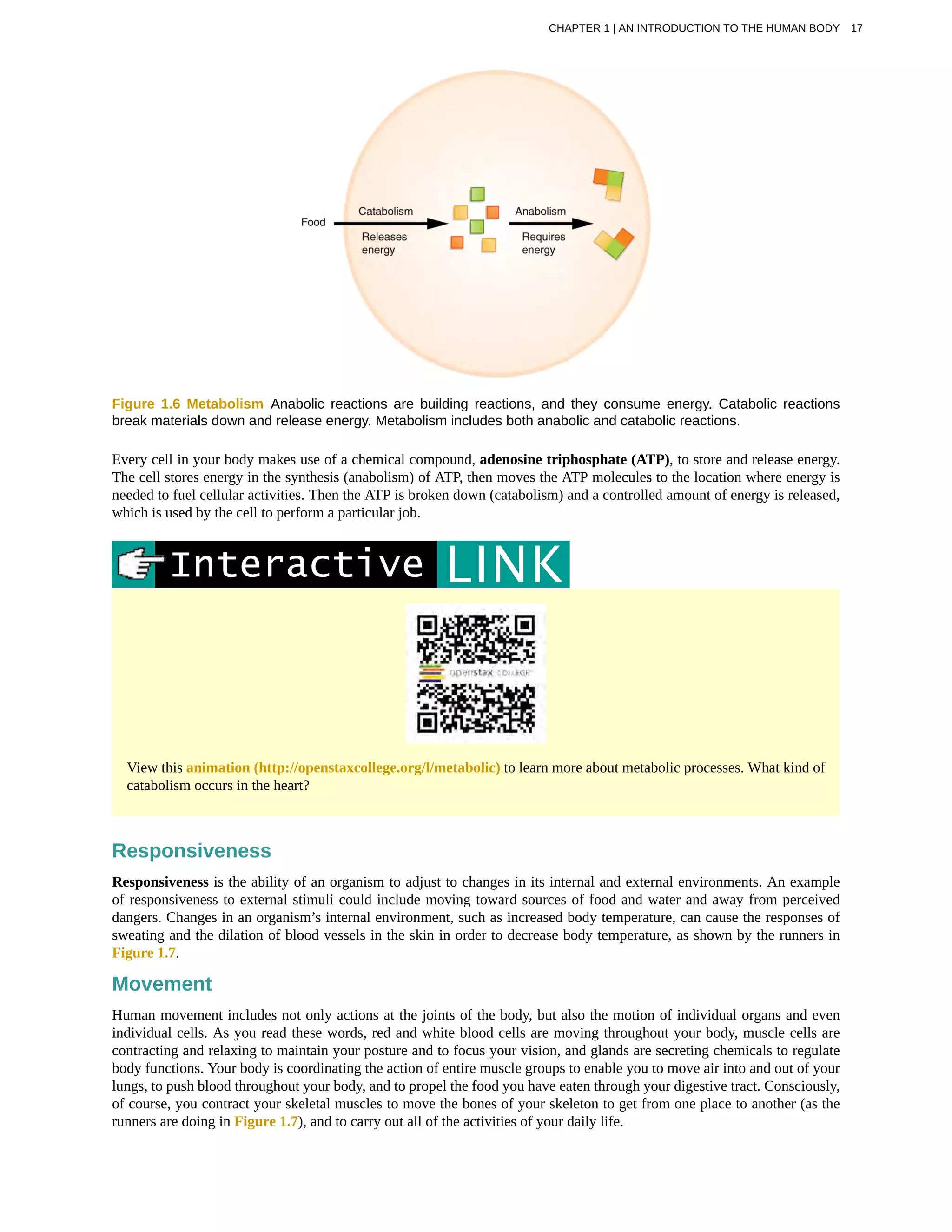 Anatomy and Physiology - Openstax College.pdf