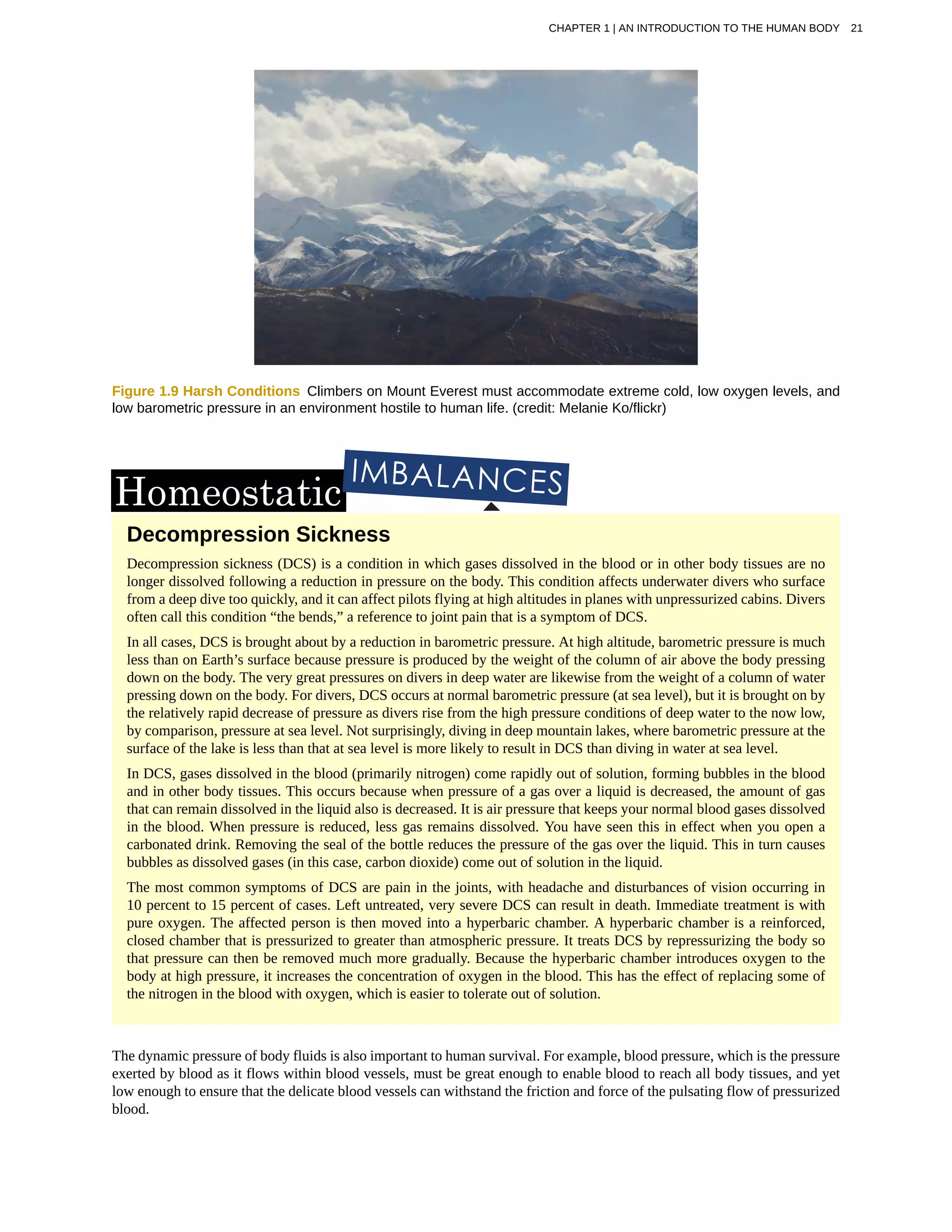 Anatomy and Physiology - Openstax College.pdf