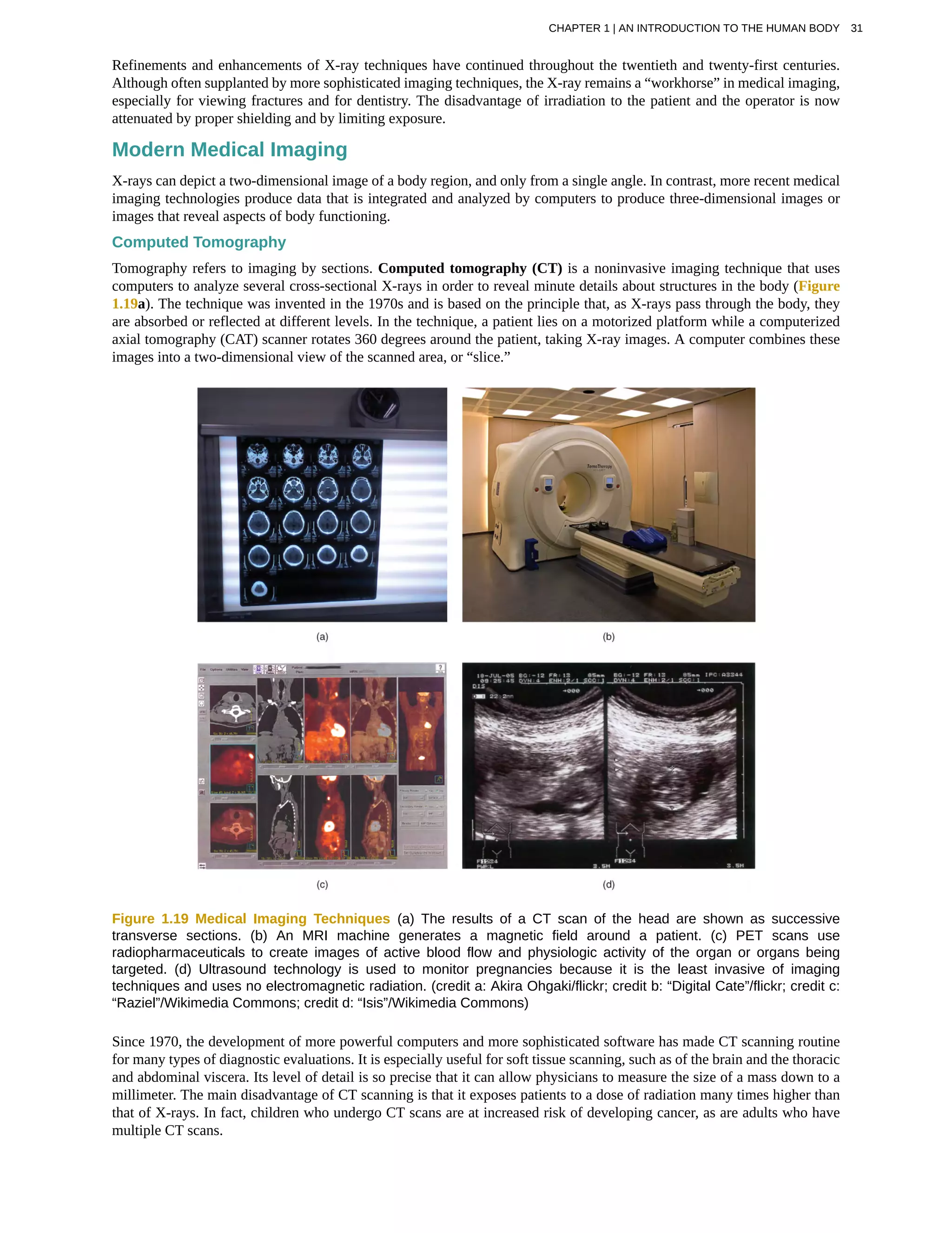 Openstax Anatomy And Physiology Pdf