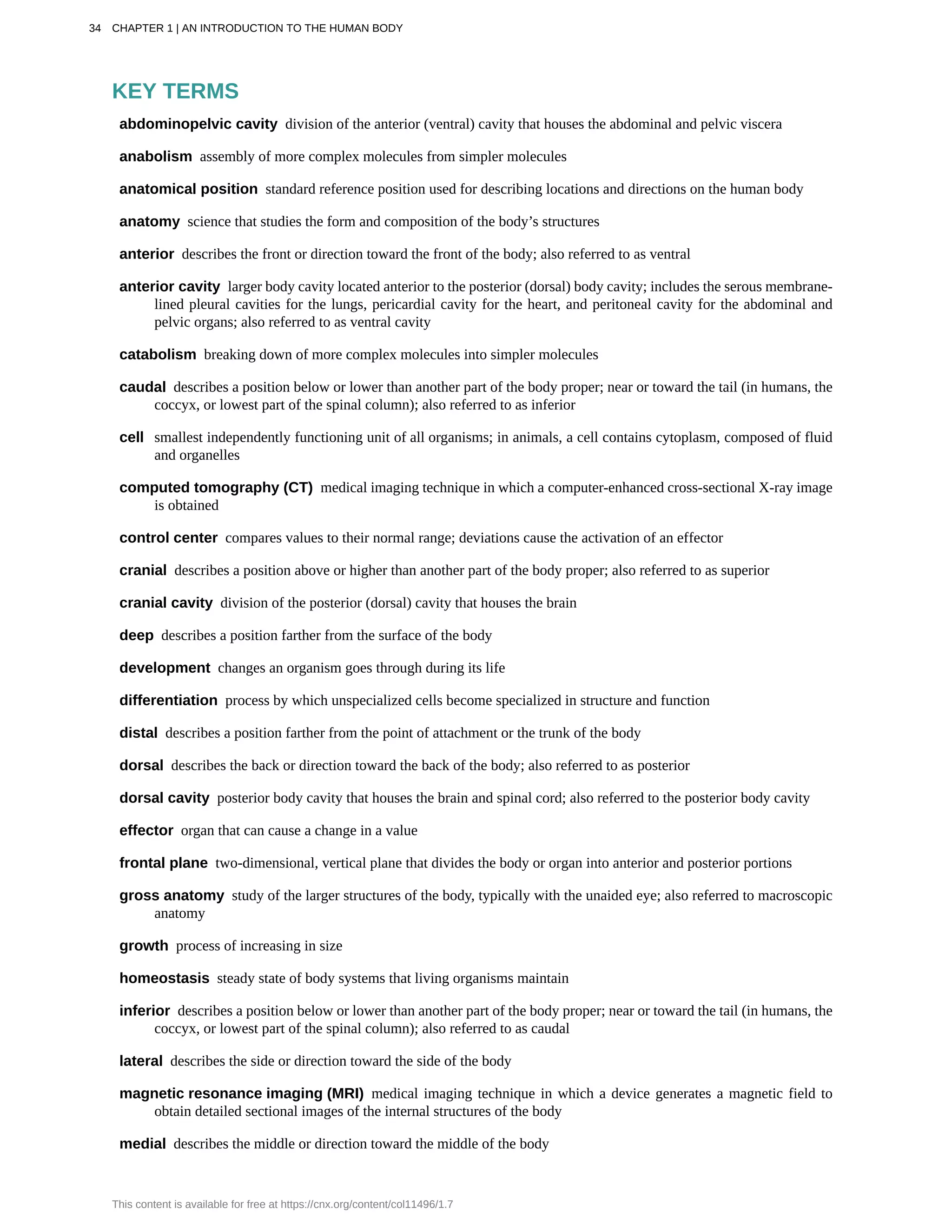 Anatomy and Physiology - Openstax College.pdf