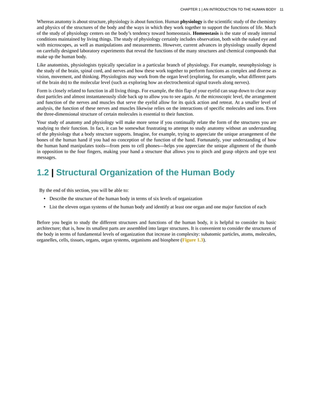 Anatomy and Physiology - Openstax College.pdf
