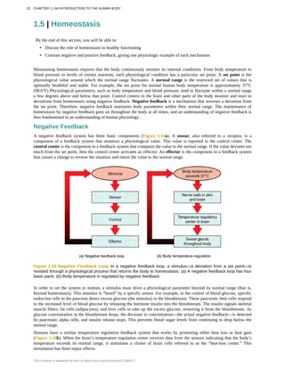 Anatomy and Physiology - Openstax College.pdf