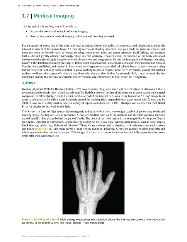 Anatomy and Physiology - Openstax College.pdf