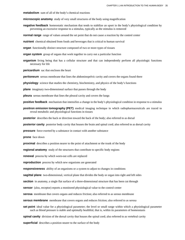 Anatomy and Physiology - Openstax College.pdf