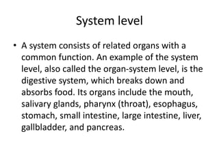 ANATOMY AND PHYSIOLOGY for nurses and mid | PPTX