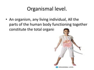 ANATOMY AND PHYSIOLOGY for nurses and mid | PPTX