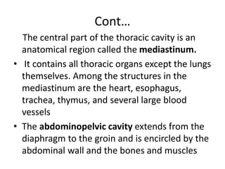 ANATOMY AND PHYSIOLOGY for nurses and mid | PPTX