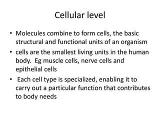 ANATOMY AND PHYSIOLOGY for nurses and mid | PPTX