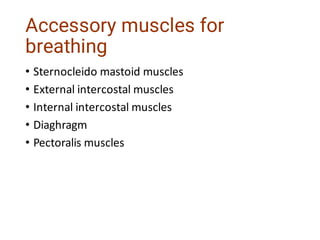 Anatomy and physiology RESPIRATORY system | PDF