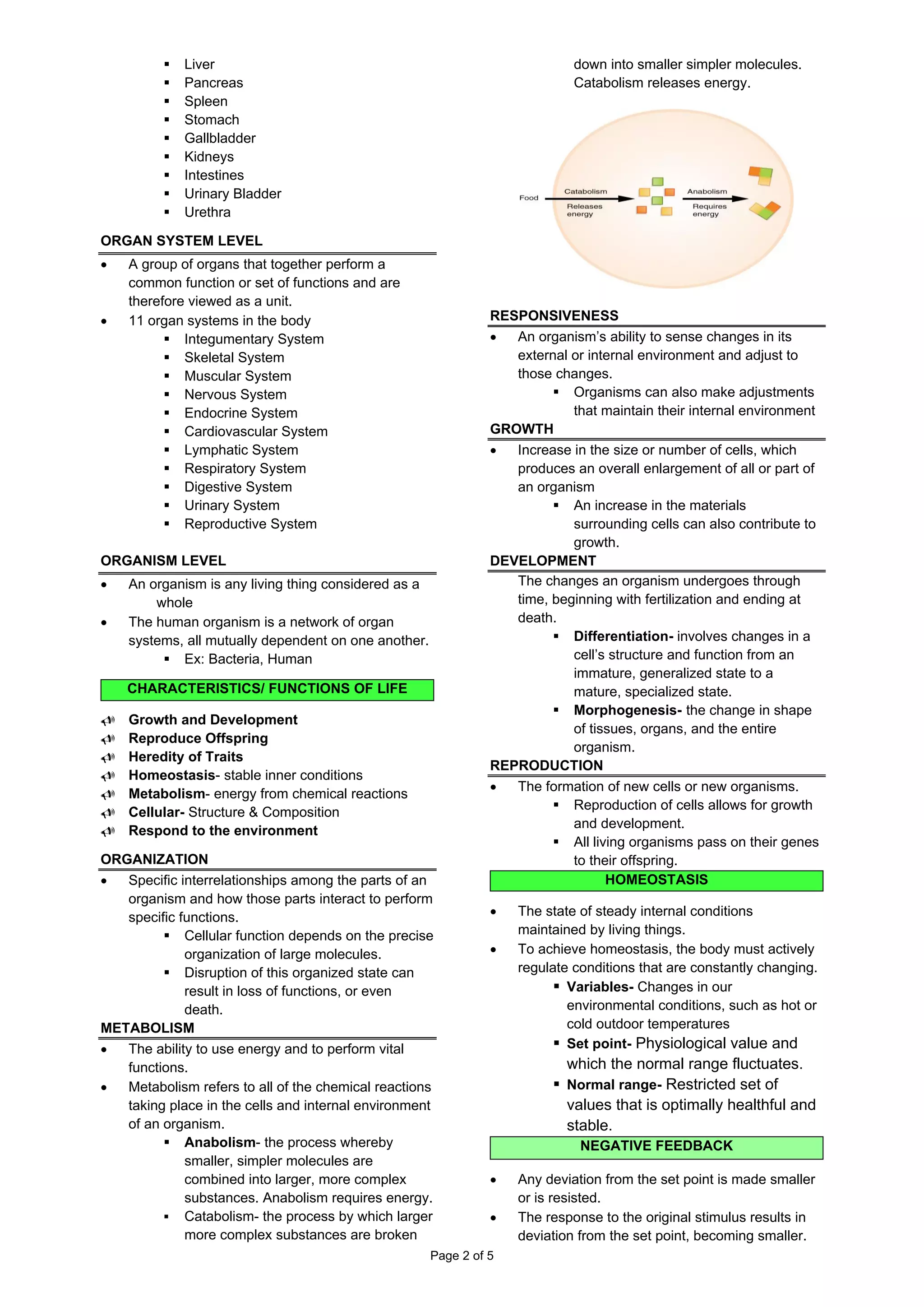 Anatomy and Physiology Chapter 1 Notes.pdf
