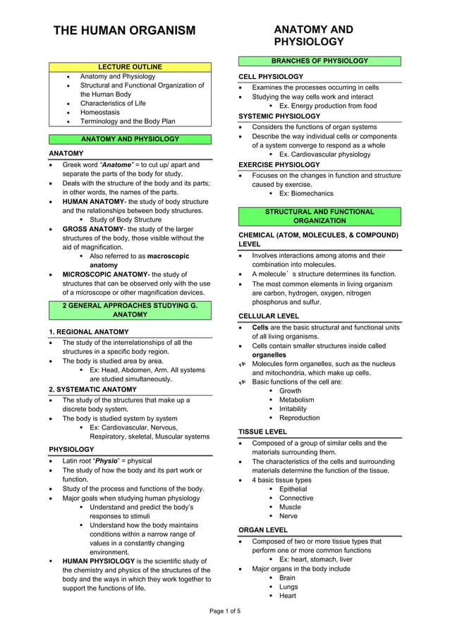 Anatomy And Physiology Chapter 1 Notes pdf Anatomy And Physiology Chapter 1 Notes pdf