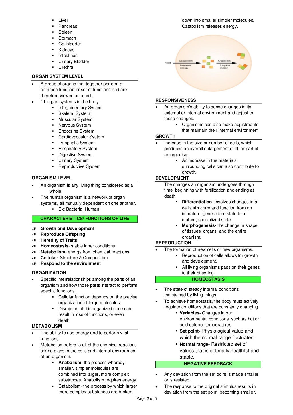 Anatomy And Physiology Chapter 1 Notes pdf Anatomy And Physiology Chapter 1 Notes pdf