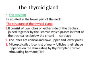 Anatomy and physiology Endocrine-System.pptx