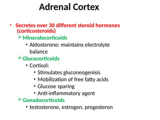 Anatomy and physiology Endocrine-System.pptx