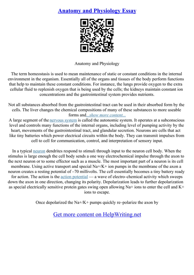 Anatomy And Physiology Essay | PDF