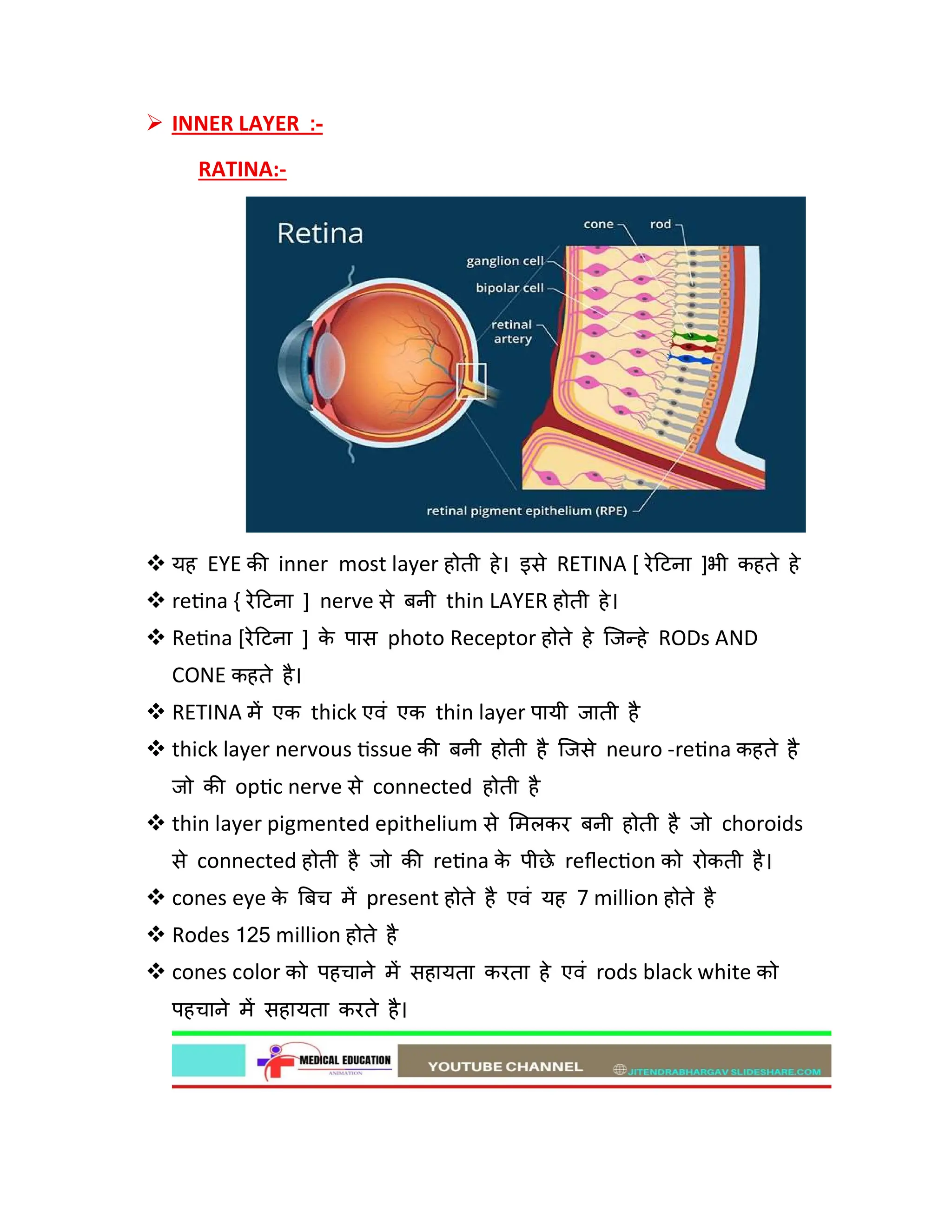 anatomy and physiology eye.pdf