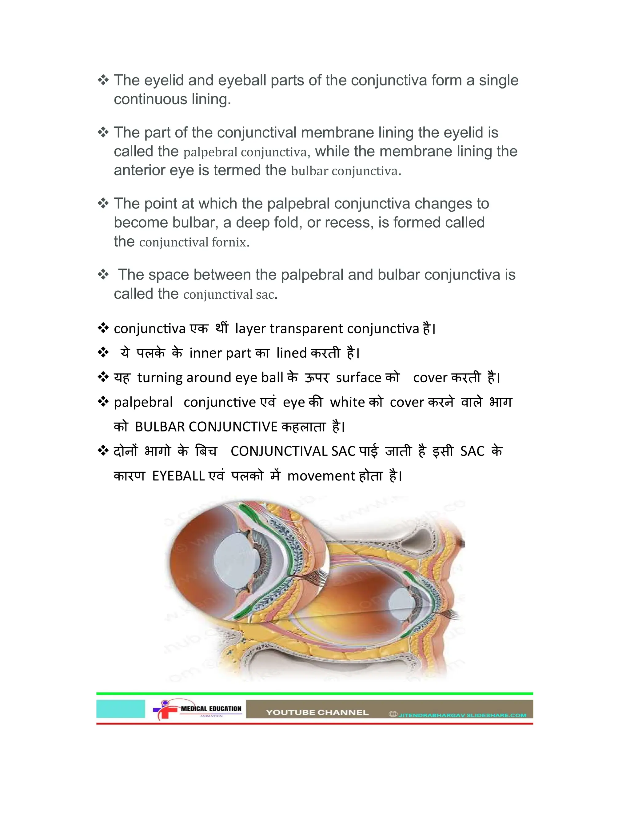 anatomy and physiology eye.pdf