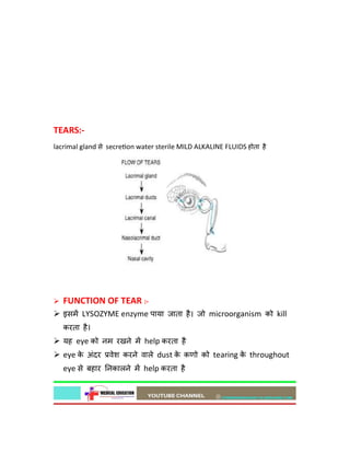 anatomy and physiology eye.pdf