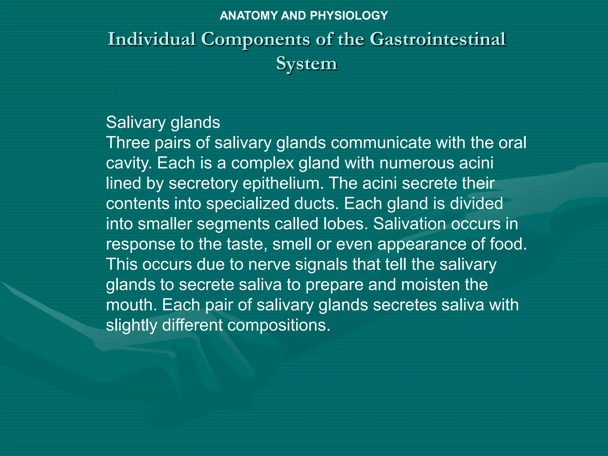 Anatomy and physiology ; gastrointestinal.pdf | Digestive Disorders ...