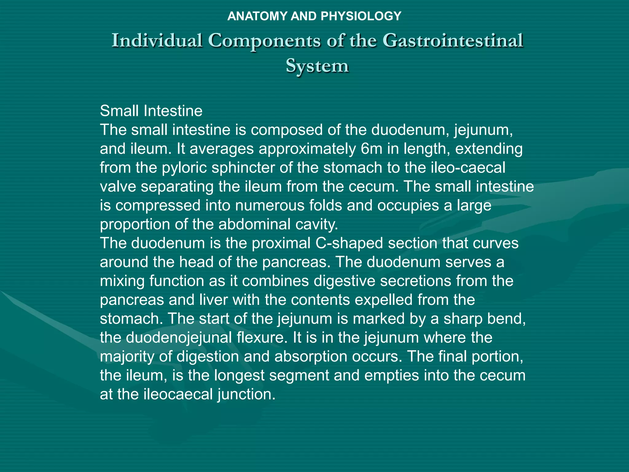 Anatomy and physiology ; gastrointestinal.pdf | Digestive Disorders ...