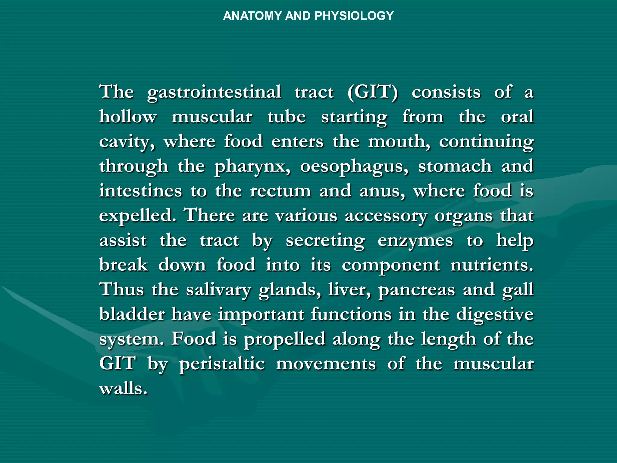 Anatomy and physiology ; gastrointestinal.pdf | Digestive Disorders ...
