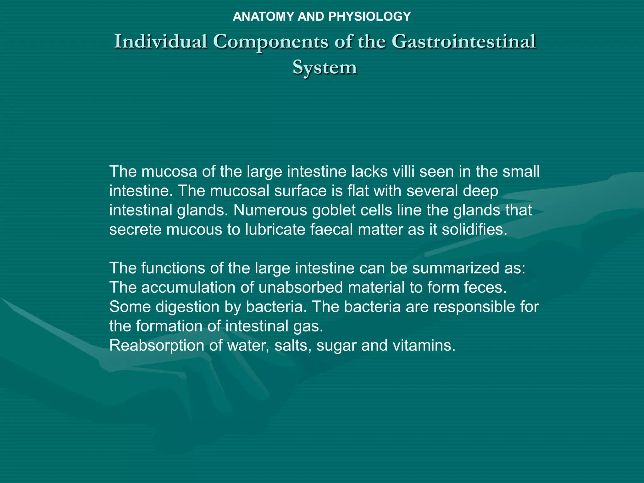 Anatomy and physiology ; gastrointestinal.pdf | Digestive Disorders ...