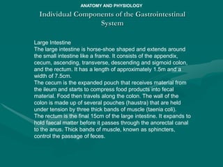 Anatomy and physiology ; gastrointestinal.pdf